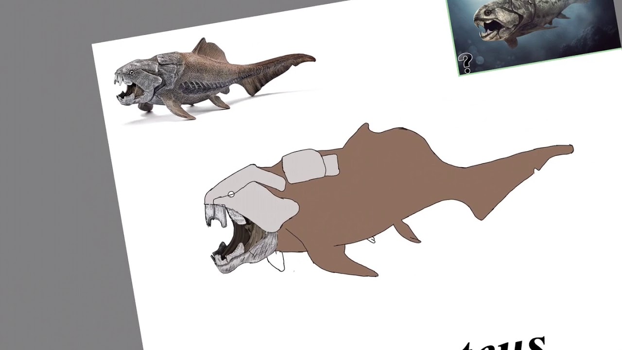 Dunkleosteus Art. Part 1 - YouTube
