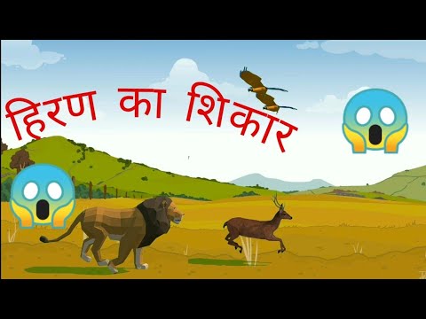 😱शेर ने किया हिरन का शिकार 😱 || 😱Sher Ne Kiya Hiran ka Shikaar😱|| - YouTube
