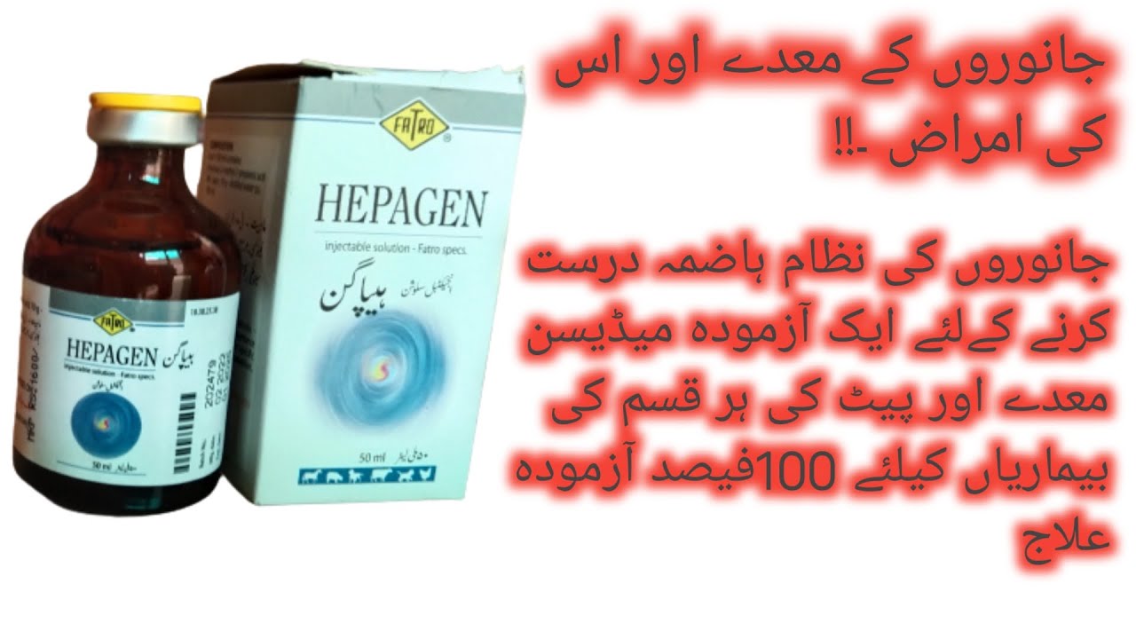 Hepagen injectable injection uses side effects details and price in ...