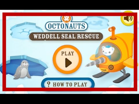 OCTONAUTS . Weddell Seal Rescue . Octonauts Game KID SURPRISE - YouTube