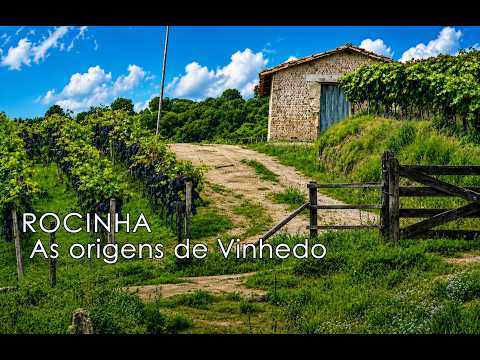 Rocinha -  As origens de Vinhedo