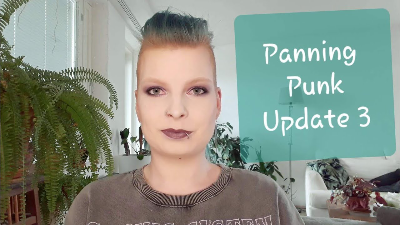 Panning Punk | Update 3 ☮️🇺🇦 - YouTube