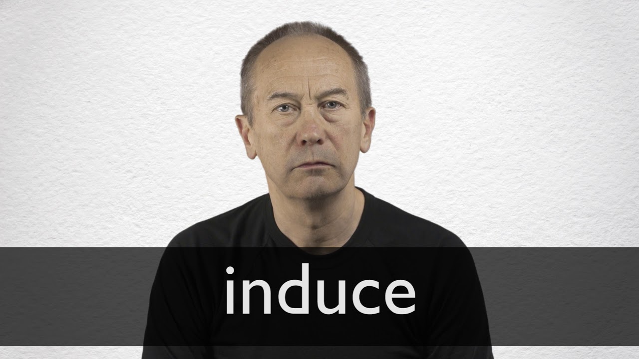 Induce Definition