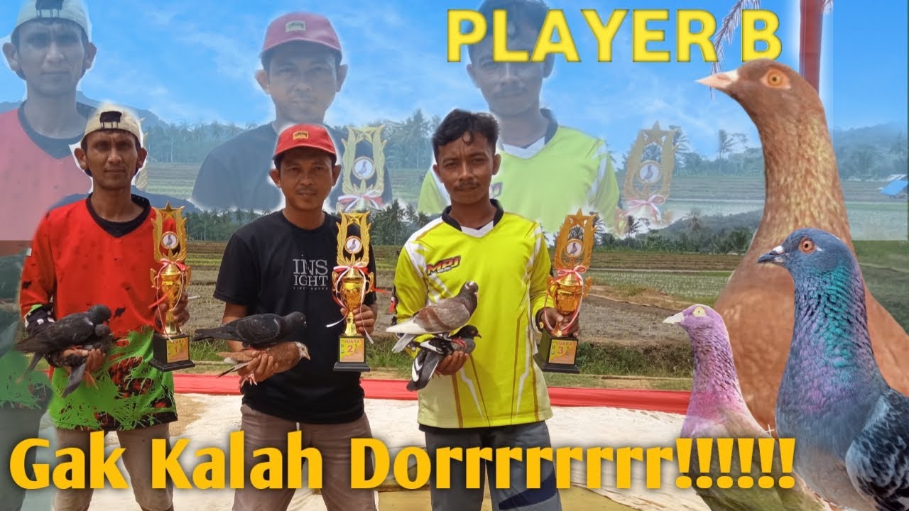 Lomba Merpati Kolong Giringan B|| Gak Kalah Dor sama player A - YouTube