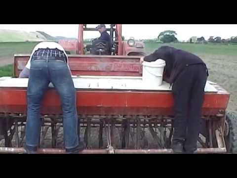 Growing Industrial Hemp - Part 1 - YouTube