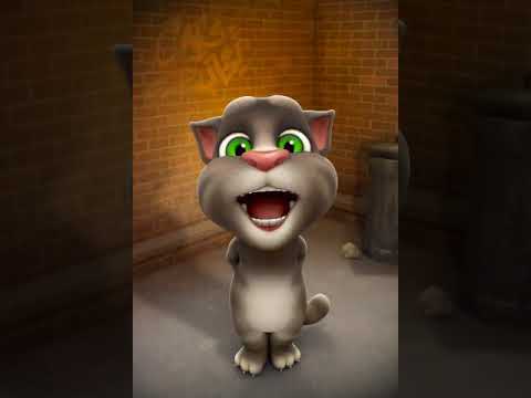 Konuşan Tom ve ben, birlikte müthiş bir video yaptık! Onun uygulamasıyla sen de kendi süper havalı v