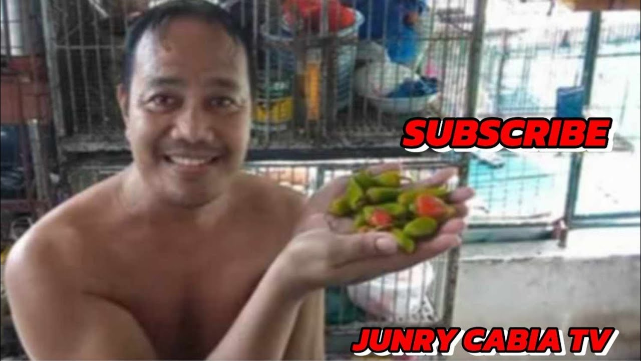 JUNRY CABIA TV is live//JUNRY CABIA TV IS LIVE GOOD MORNING TAMBAYAN LOVE LOVE YOU - YouTube