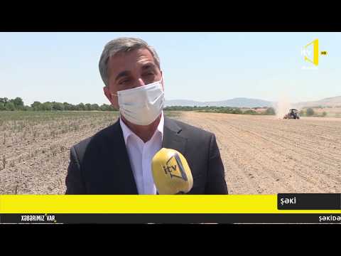 Əkin sahələrinin suvarılması ilə bağlı problemlər var