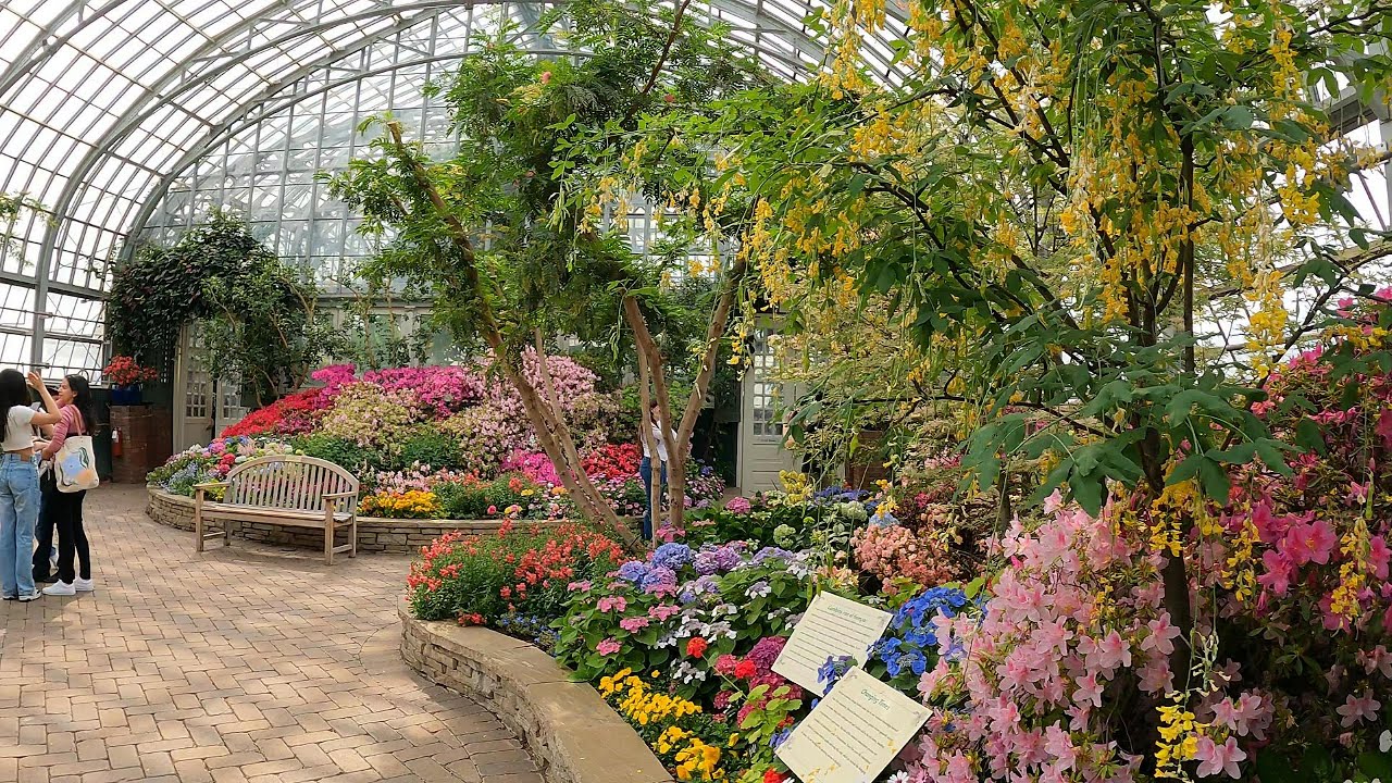 Garfield Park Conservatory in Chicago Illinois - YouTube