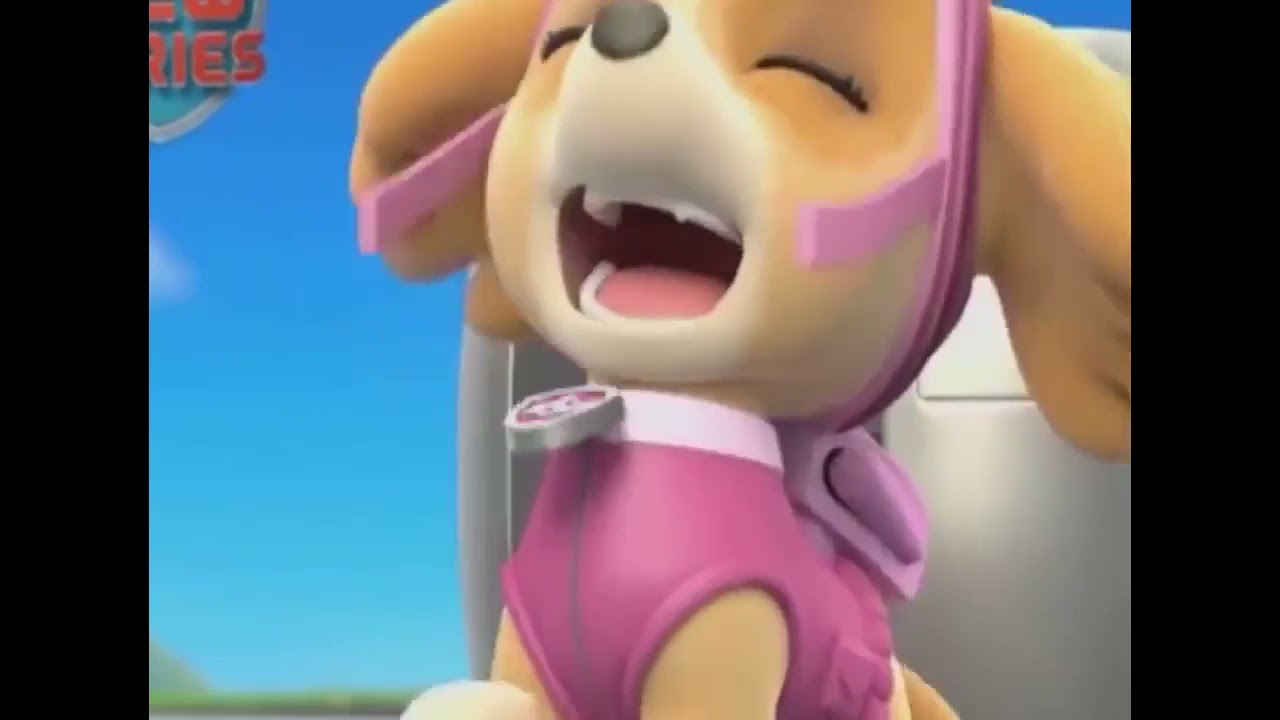 Skye this pup gotta fly speed up - YouTube