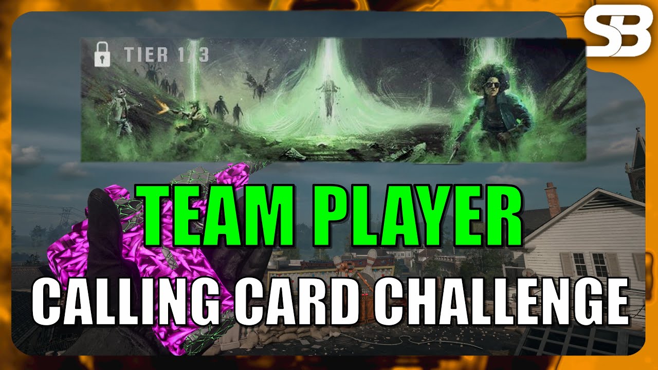 BO6 Team Player Calling Card (Black Ops 6 Zombies Team Player Calling ...