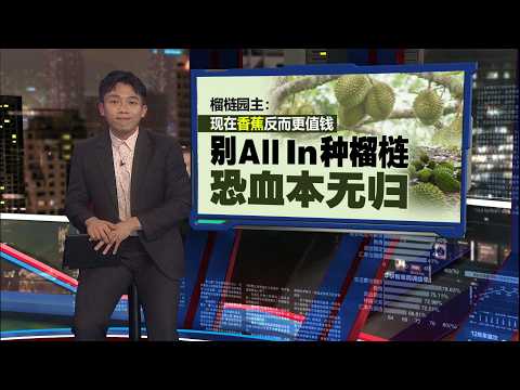 价格跌破底线   雪州万宜一粒迷你榴梿只售50仙？！ | 新闻报报看 21/06/2026