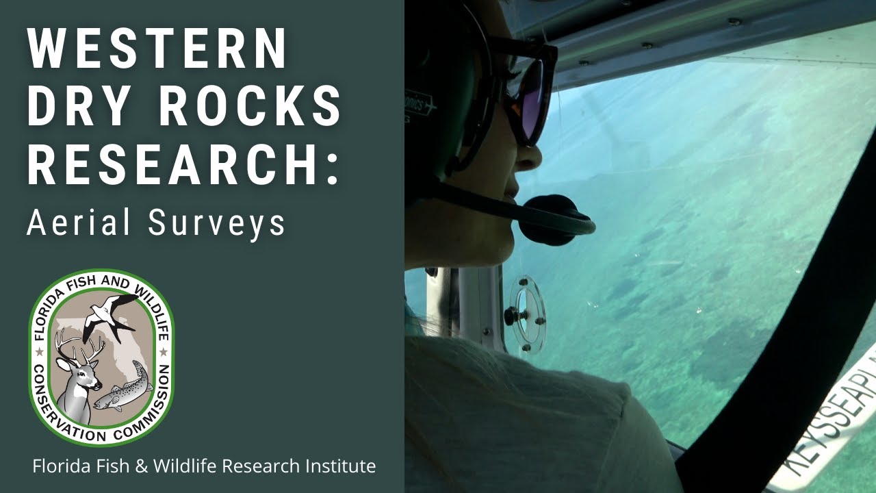 Western Dry Rock Research: Aerial Surveys - YouTube