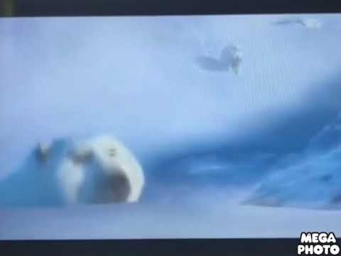 ABC Commercial Breaks (2007) - YouTube