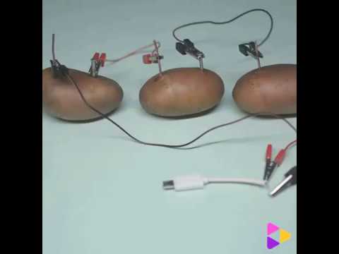 How to Mobile Charging With Potato - YouTube