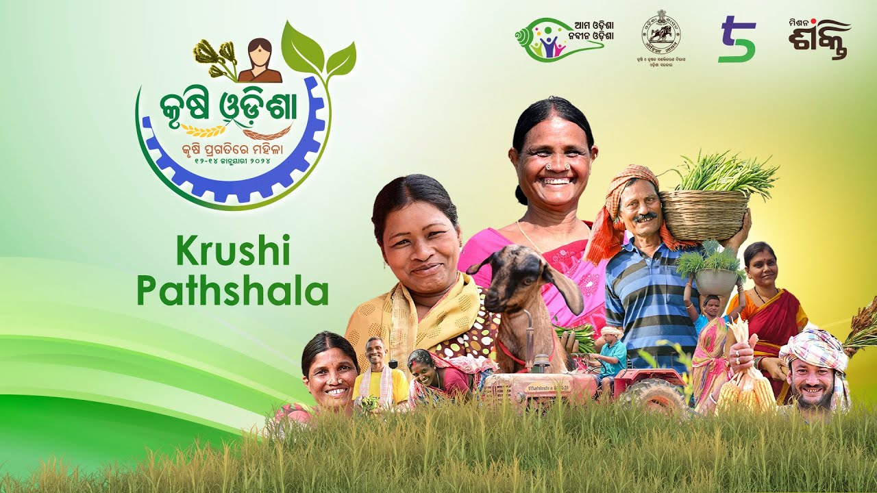 Krushi Odisha 2024 | Local Farmer Songs | LIVE - YouTube
