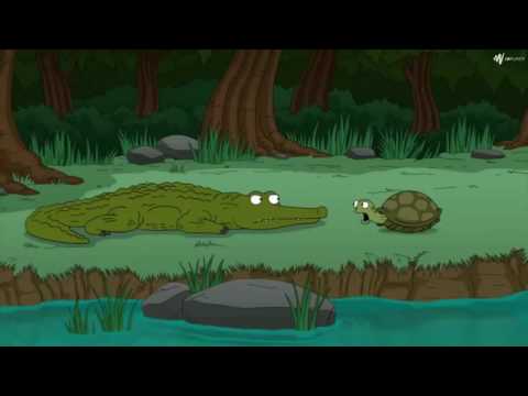 Die klaustrophobische Schildkröte [Family Guy]