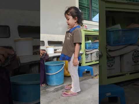 45 Biji Telur Bebek Itik di Lap dan Gosok