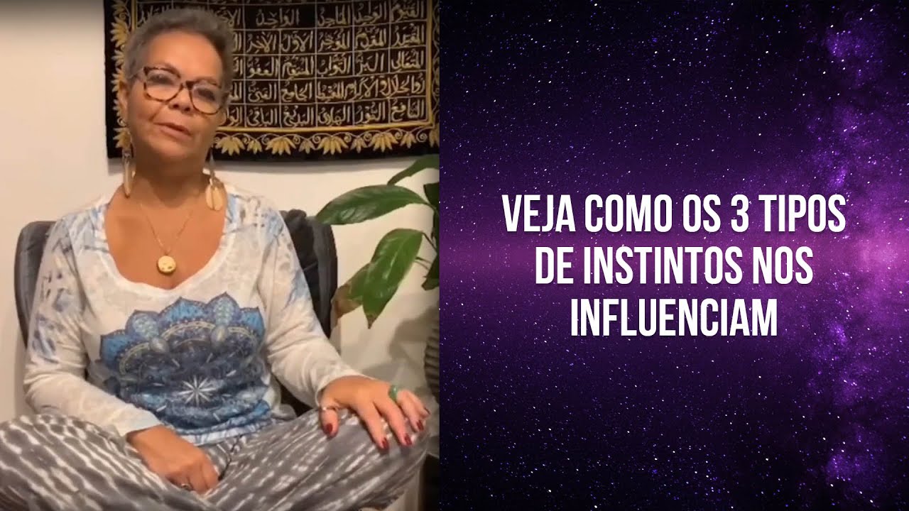 Veja como os três tipos de instintos nos influenciam! - YouTube