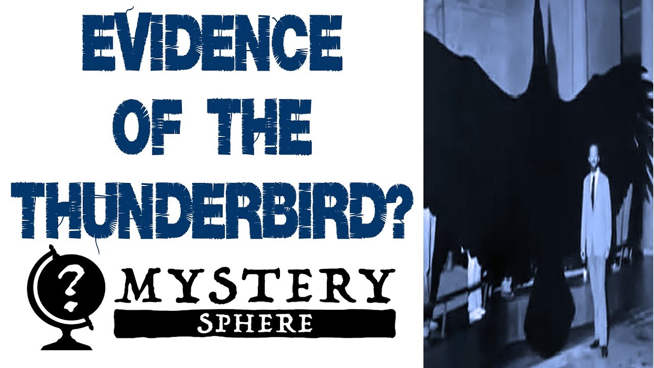 Evidence of The Thunderbird? Do Giant Birds Exist? (Mystery Species Ep ...