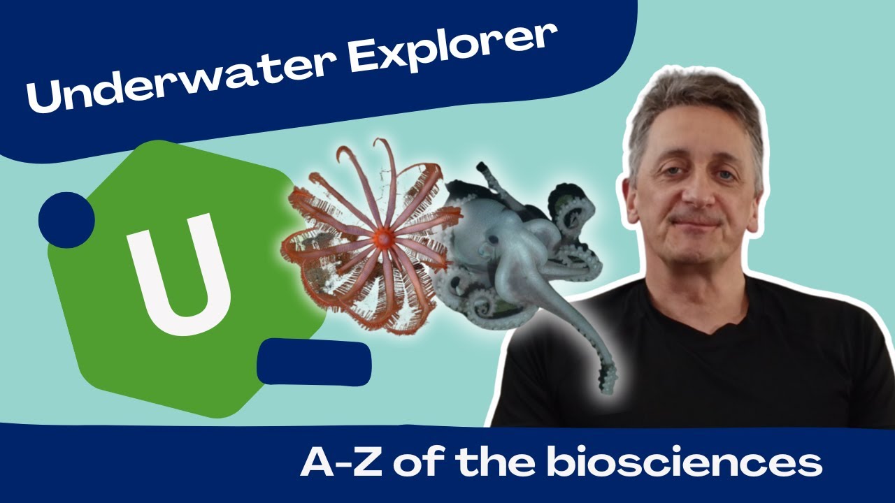 Letter U | Underwater Explorer Jon Copley | A to Z of the Biosciences - YouTube