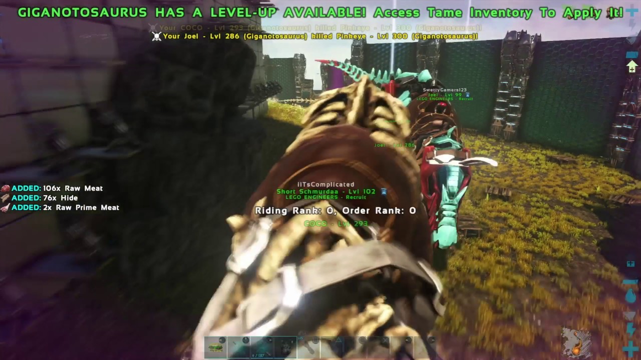 Meat Run on insiders - YouTube