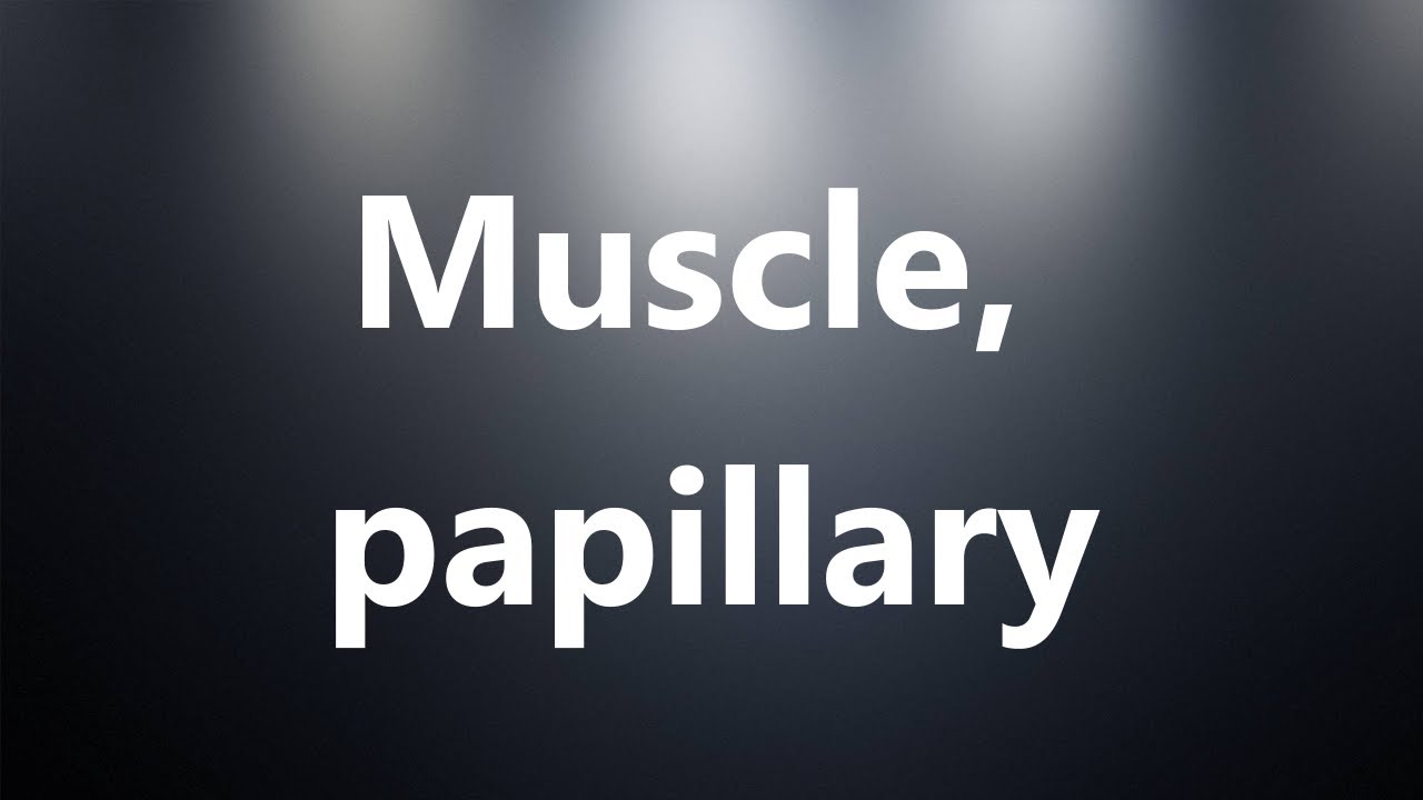 Muscle, papillary - Medical Definition and Pronunciation - YouTube