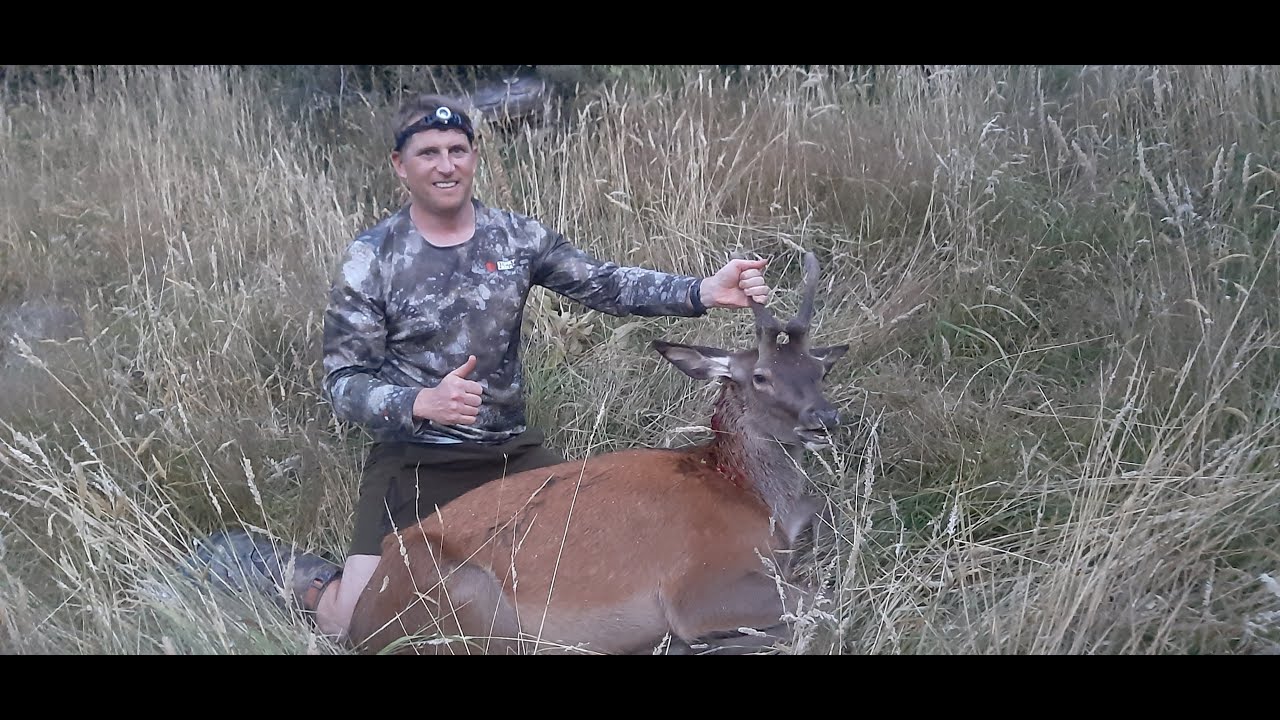 Conquering the Heat: Red Deer Hunting in The Haurangis! - YouTube