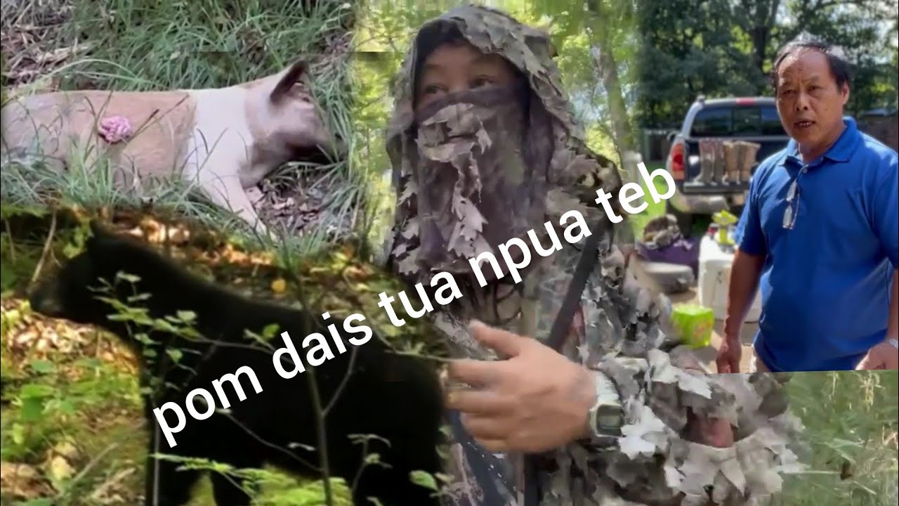 tij laug tooj choj yaj nyob mes kas mu yos hav zoov pom dais thiab tua ...