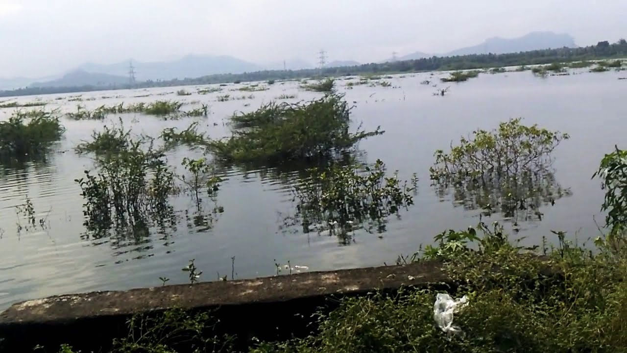 Gudiyattam lake is filled - YouTube