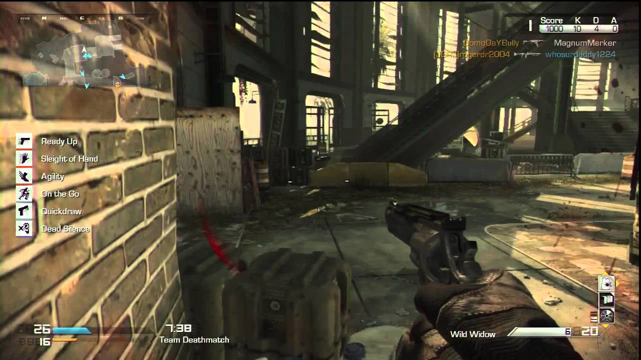 *NEW*COD GHOSTS HACK- Wild Widow in Multiplayer - YouTube