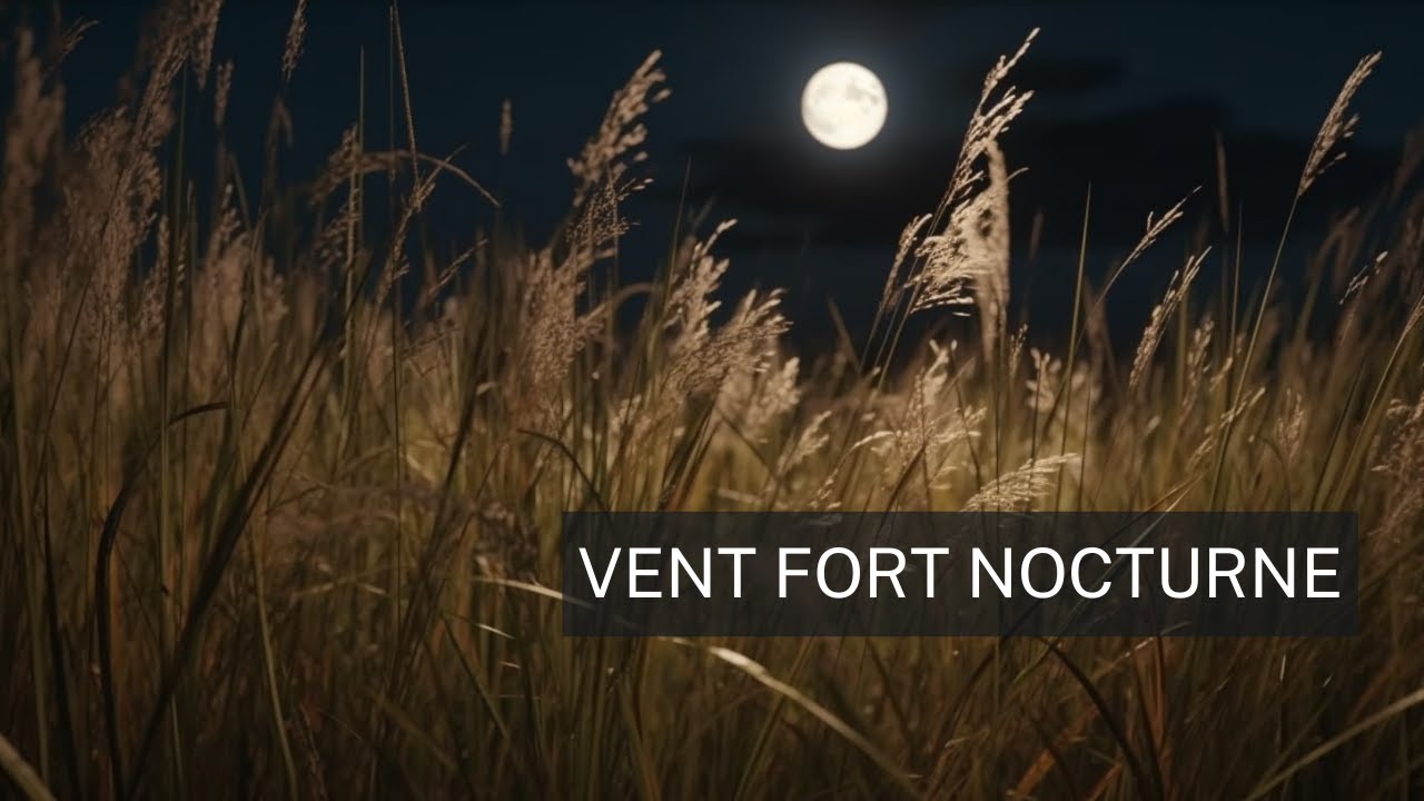 🌬️ Bruits de vent fort nocturne pour s'endormir paisiblement - YouTube