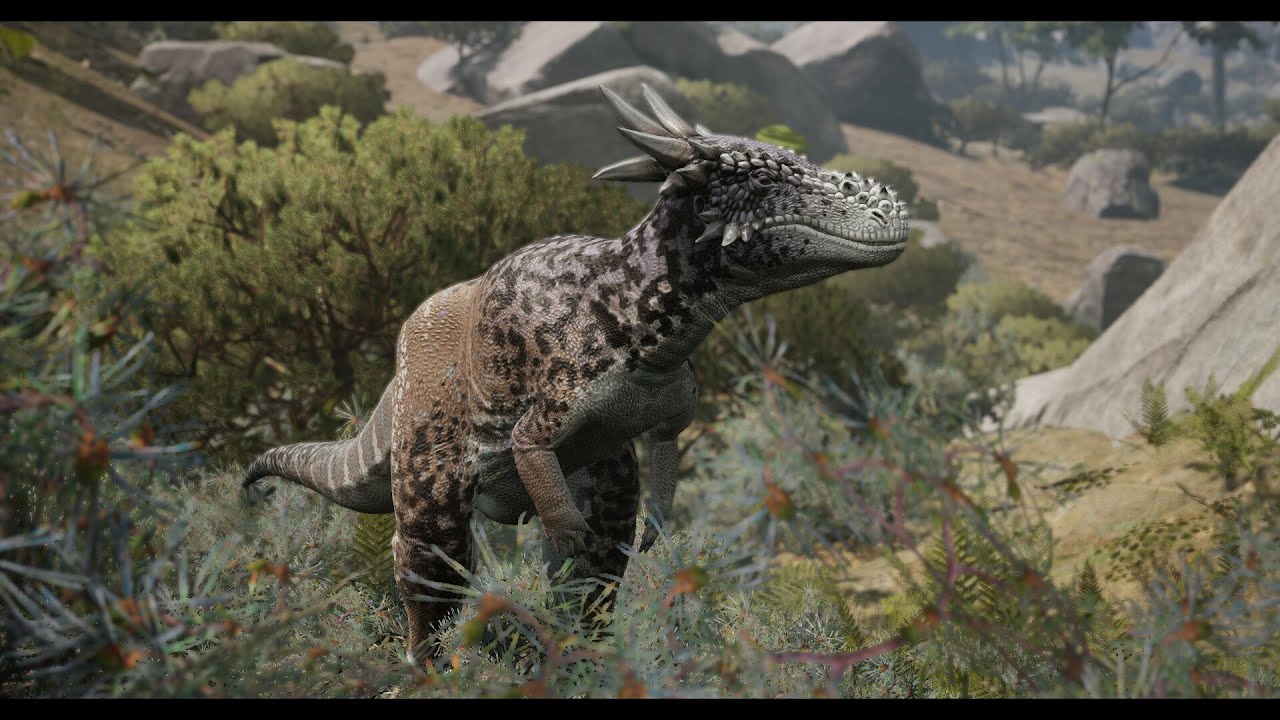 Growing a Pachy Part 2 - YouTube