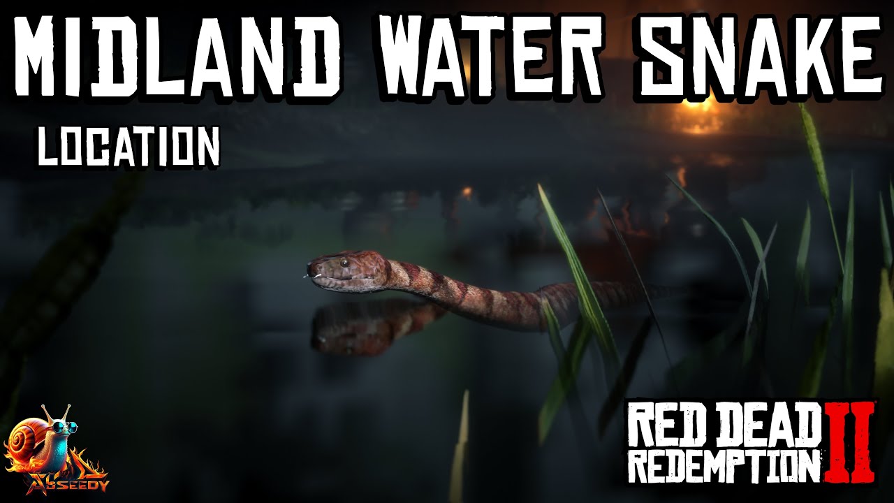 Midland Water Snake Location - Red Dead Redemption 2 - YouTube