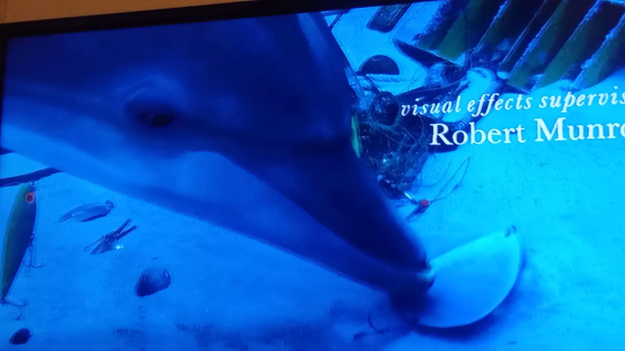 Dolphin tale - YouTube