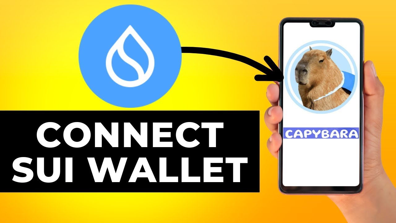How to Connect SUI Wallet on Capybara (Step by Step) - YouTube