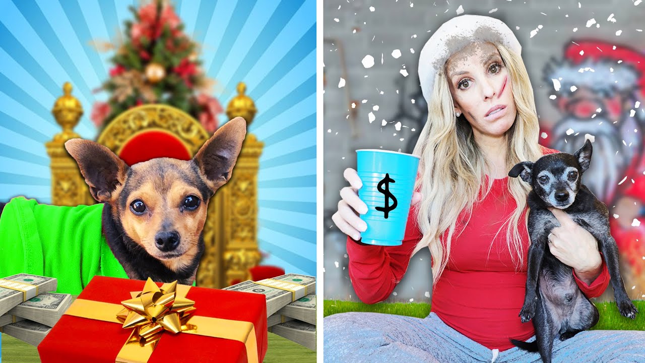 RICH CHRISTMAS VS BROKE CHRISTMAS - PawZam Dogs - YouTube