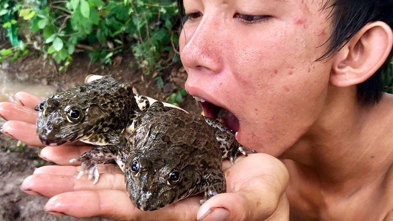 Primitive Technology - Survival Cooking Frog in the Forest - Wilderness ...