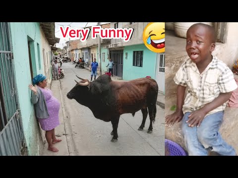 Very Funny Video 2026 🤣 New funny video Pakistani 🤣 funny clip 😁 funny moments 🤪