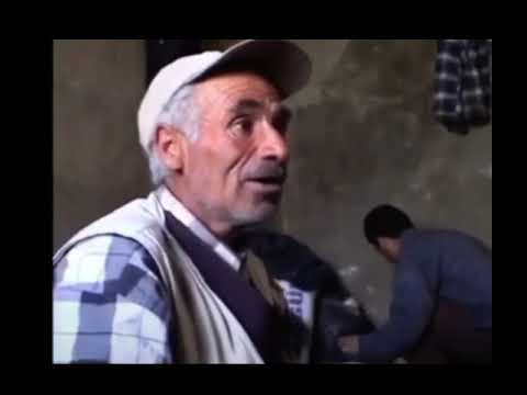 Sade Köfte 😅 komik videolar mizah