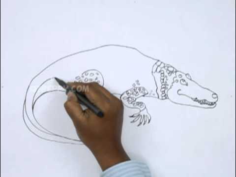 How to Draw a Nile Crocodile - YouTube
