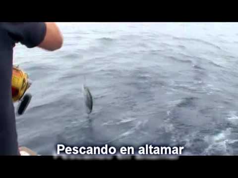Pescando en altamar - YouTube