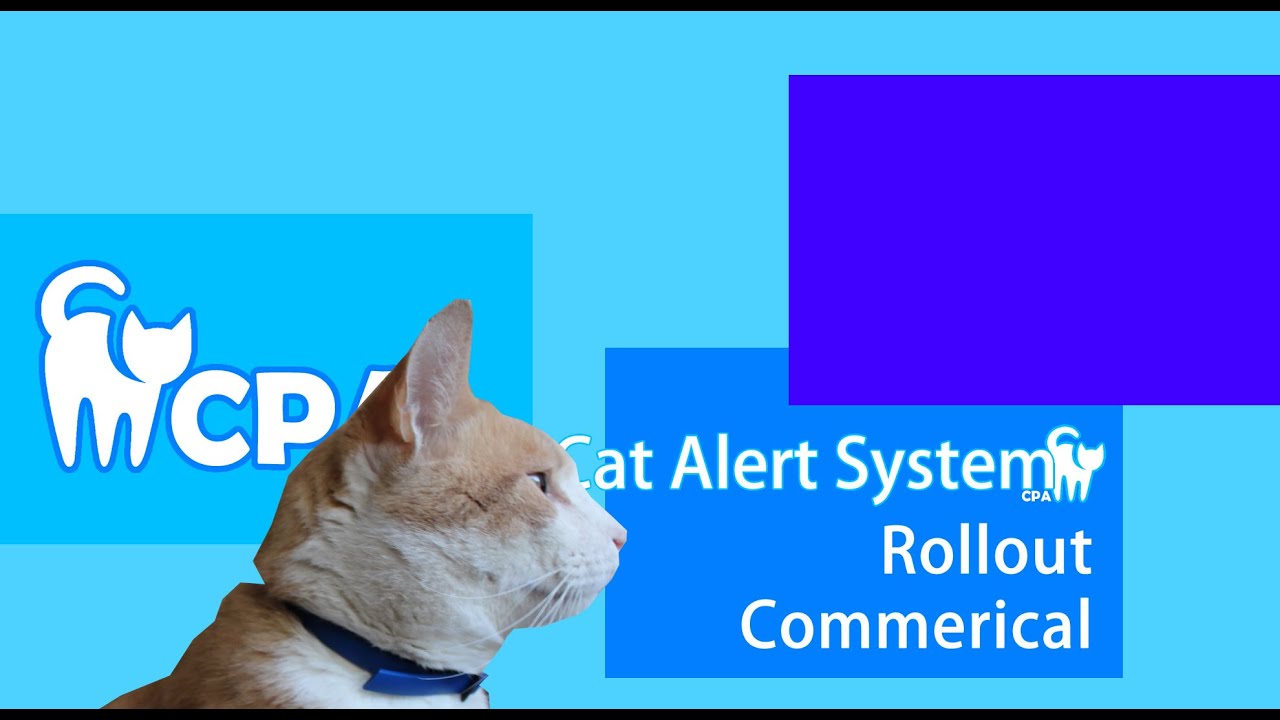 Cat Alert System Rollout Commerical - YouTube