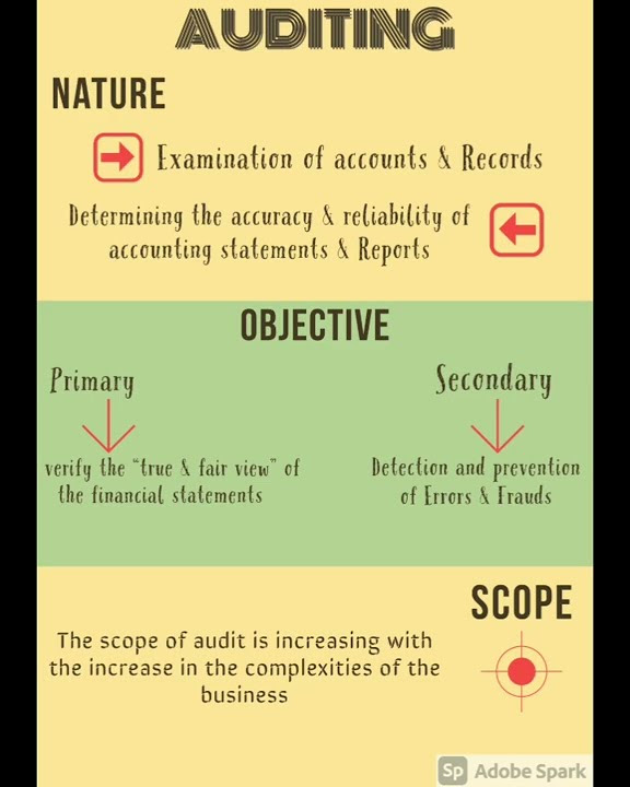 AUDITING - NATURE - OBJECTIVE - SCOPE ( Just For Recap ) - YouTube