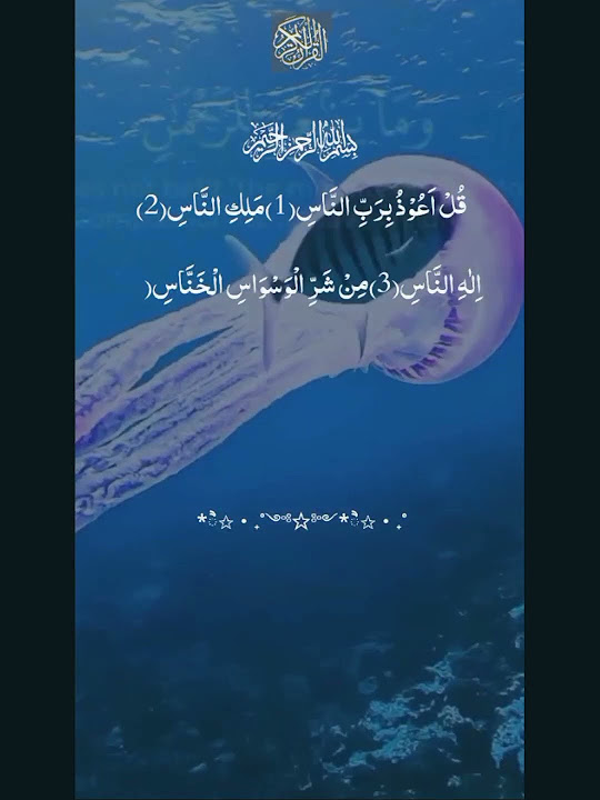 pashton official search tilawat Quran YouTube - YouTube