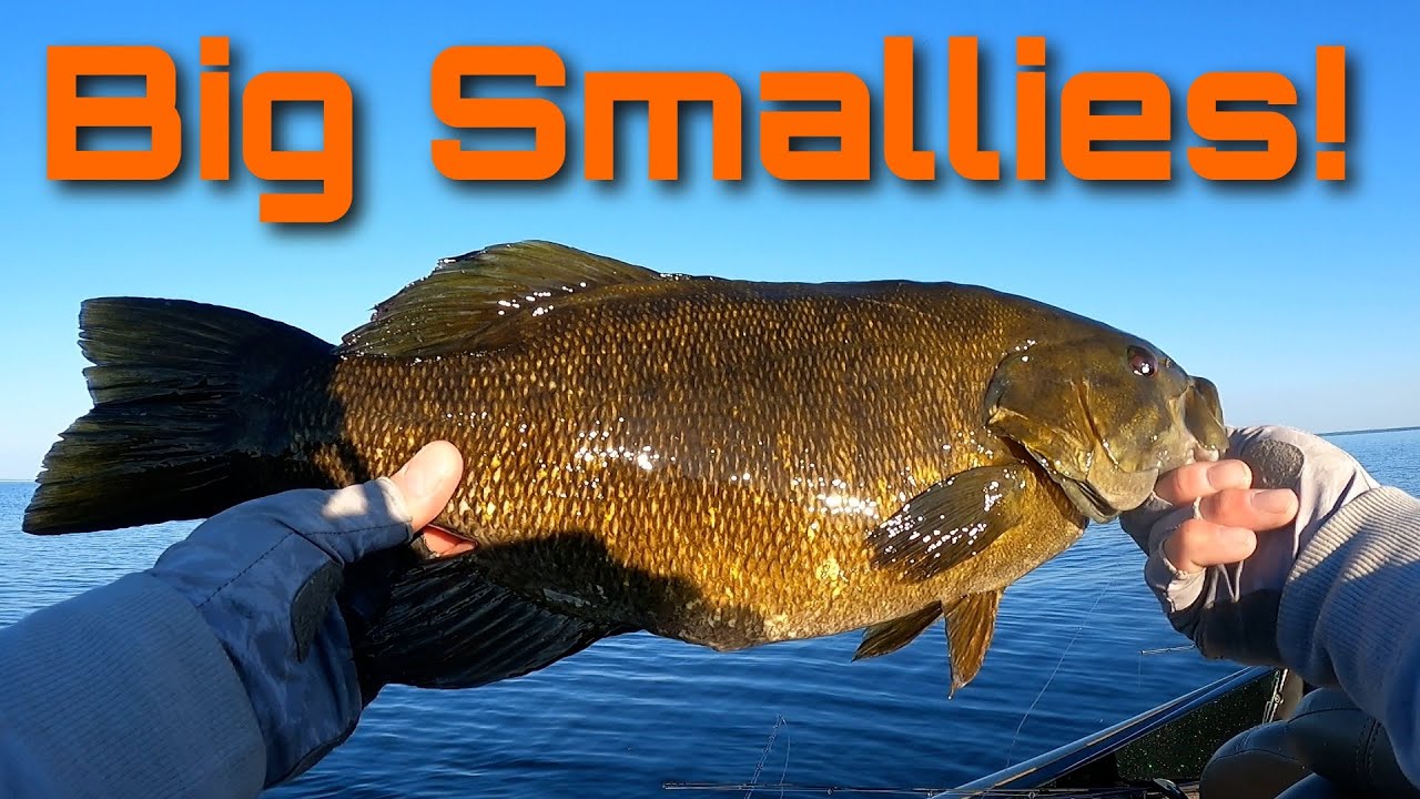 Minnesota Bass Nation Team Trail Official Practice At Mille Lacs Lake ...