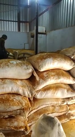 Turmeric Powder Process from Polished Turmeric - YouTube