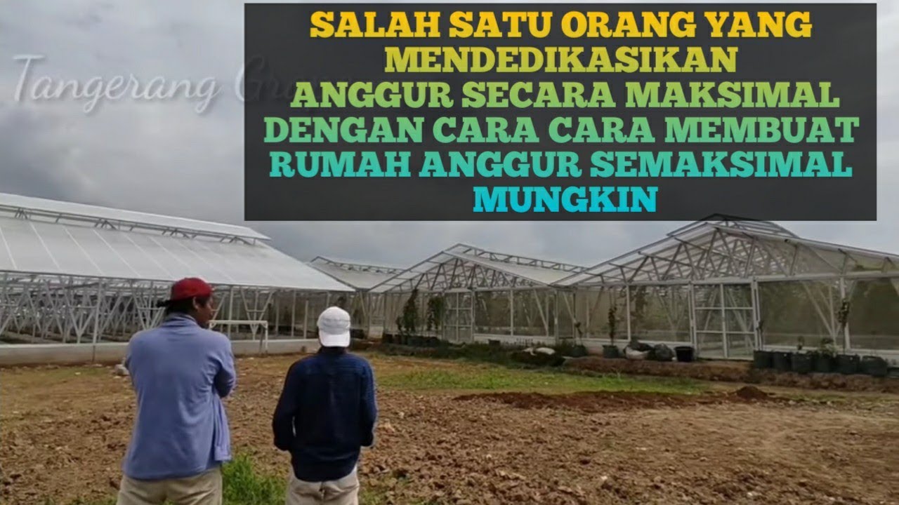 KEBUN ANGGUR TER MEGAH DI BOGOR NO 1 DI INDONESIA. PERCAYA...PART 1 ...