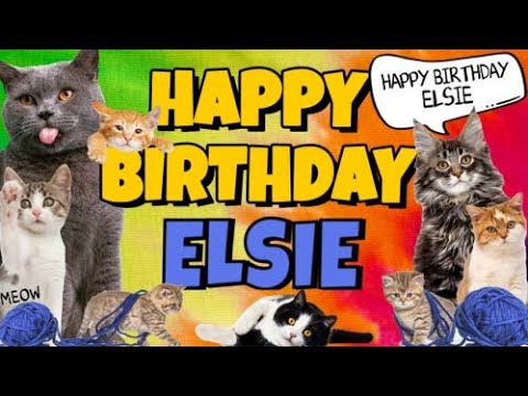 Happy Birthday Elsie! Crazy Cats Say Happy Birthday Elsie (Very Funny ...