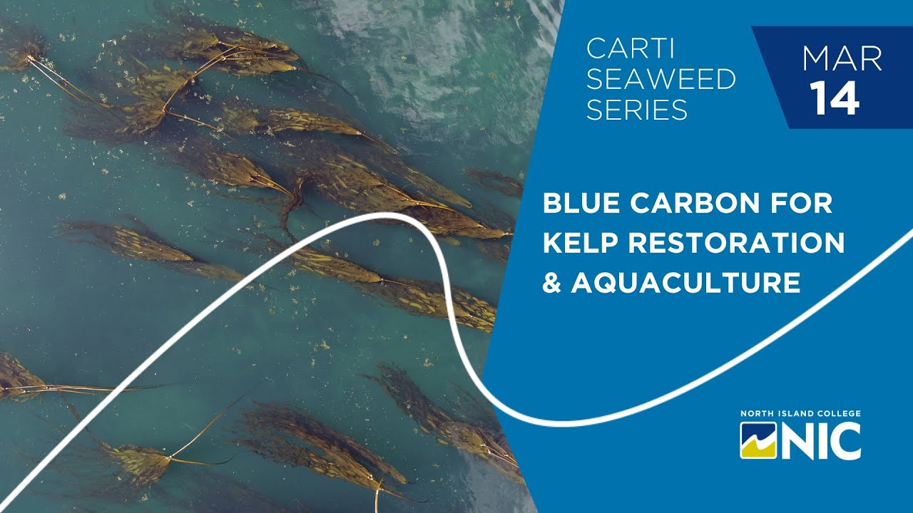 CARTI Seaweed Series- Blue Carbon for Kelp Restoration & Aquaculture ...